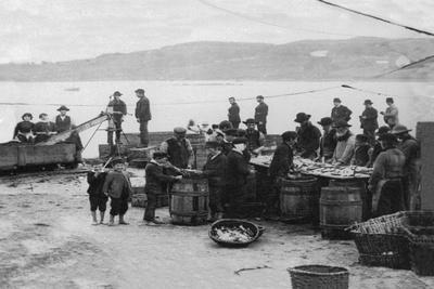 'Donegal Fish, Ireland' Poster | AllPosters.com