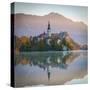 'Bled Island with the Church of the Assumption and Bled Castle ...