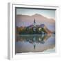 'Bled Island with the Church of the Assumption and Bled Castle ...