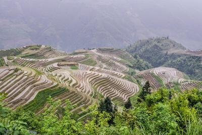 'Dragon Spine Rice Terraces, Longsheng, Guangxi, China, Asia ...
