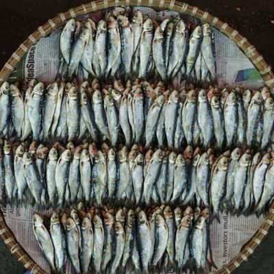 'Dried Fish, or Tuyo, on a Wicker Basket in a Market in the Philippines ...