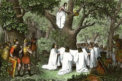 Druid Priests Cutting Mistletoe Observed by Roman Soldiers in a Celtic ...