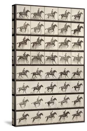 Jumping a Hurdle Stretched Canvas Print - Eadweard Muybridge ...