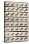 Jumping a Hurdle Stretched Canvas Print - Eadweard Muybridge ...