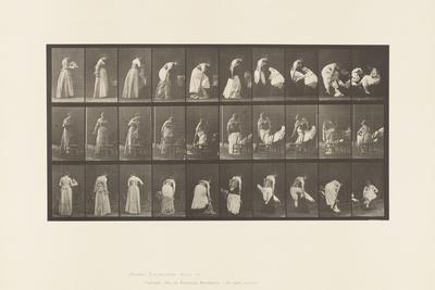 'Plate 497. Miscellaneous Phases of the Toilet, 1885 (Collotype on ...