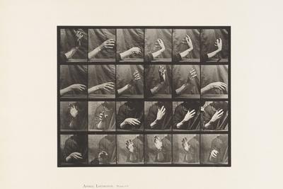 'Plate 535. Movement of the Hand; Beating Time, 1885 (Collotype on ...