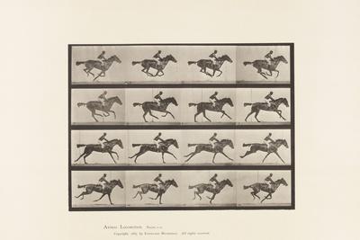'Plate 626. Gallop; Thoroughbred Bay Mare Annie G., 1885 (Collotype on ...