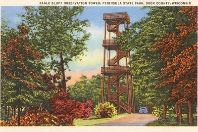 'Eagle Bluff Observation Tower, Wisconsin' Poster | AllPosters.com
