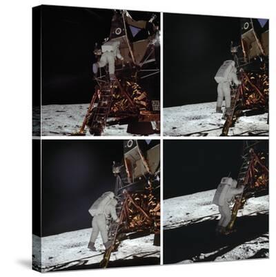 'Eagle Exploration' Stretched Canvas Print | AllPosters.com