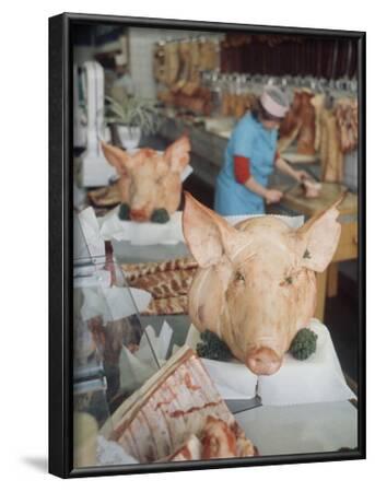 'East German Butcher Shop, Displaying Whole Pigs Heads' Photographic ...