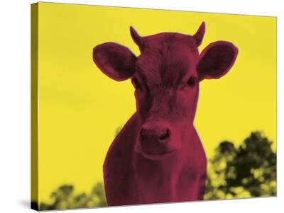 'Pop Cattle - Buttercup' Stretched Canvas Print - Eccentric Accents ...