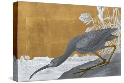 'The Glossy Ibis - Luxe' Stretched Canvas Print - Eccentric Accents ...