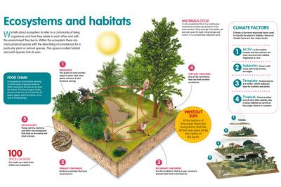 'Ecosystems and habitats.' Photographic Print | AllPosters.com