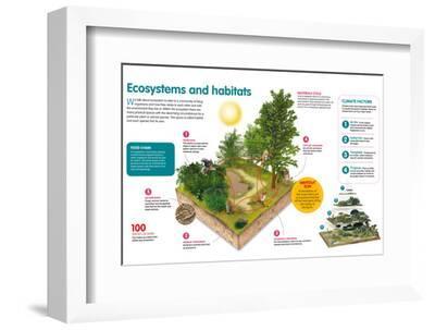 'Ecosystems and habitats.' Photographic Print | AllPosters.com