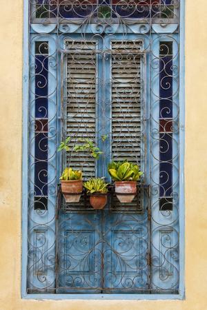 'Plants in pots hanging on ornate doorway, Havana, Cuba, West Indies ...