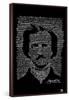 'Edgar Allan Poe The Raven Text Poster' Posters | AllPosters.com