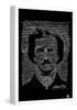 'Edgar Allan Poe The Raven Text Poster' Posters | AllPosters.com