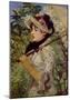 'Edouard Manet (Spring (Jeanne)) Art Poster Print' Poster | AllPosters.com