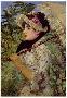 'Edouard Manet (Spring (Jeanne)) Art Poster Print' Poster | AllPosters.com