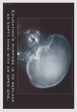 Career Guidance Posters for Sale: Prints, Paintings & Wall Art ...