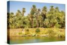 'Egypt - bank of the Nile, riverside landscape of the valley of Nile ...