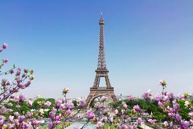'Eiffel Tower and Paris Cityscape' Photographic Print - neirfy ...