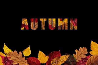 'Composition of Autumn Colorful Leaves, the Word Autumn Made from ...