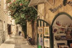 'Moose (Alces Alces) Cow Dribbles after Feeding, Autumn (Fall), Grand ...