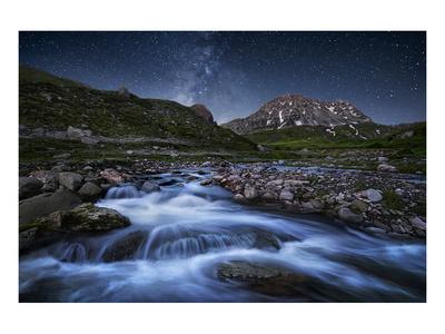 'Elements of Nature' Prints | AllPosters.com