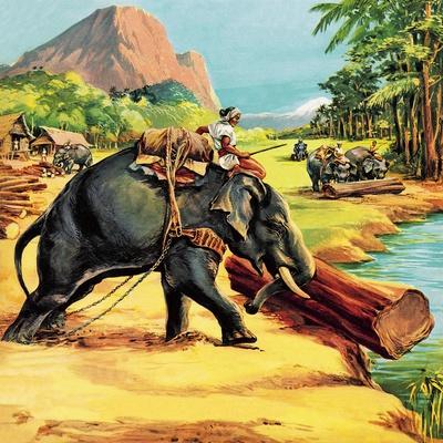 'Elephant. Illustration from Elephant Bill by Liuet. Col. J. H ...