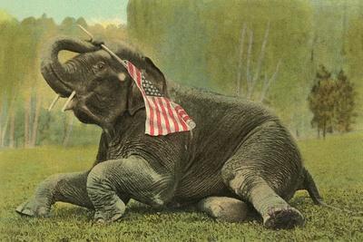 Elephant with Flag Prints | AllPosters.com
