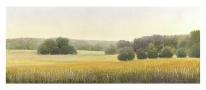 'High Woods Field' Poster - Elissa Gore | AllPosters.com
