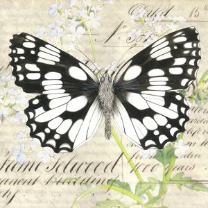 Elizabeth Hellman Posters, Prints, Paintings & Wall Art | AllPosters.com