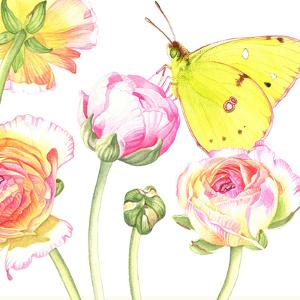 Elizabeth Hellman Posters, Prints, Paintings & Wall Art | AllPosters.com