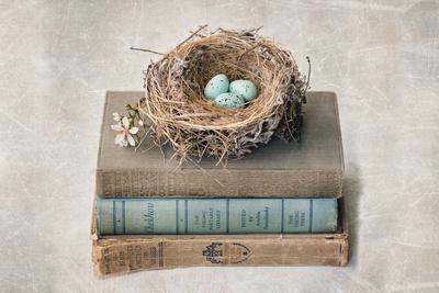 'Nesting Phase' Giclee Print - Elizabeth Kay | AllPosters.com