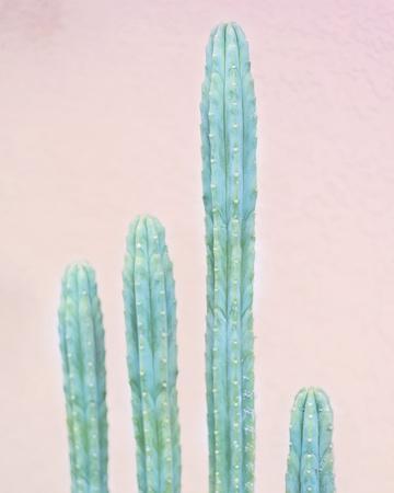 'Sticky Fingers' Print - Elizabeth Kay | AllPosters.com