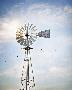 Windmill Giclee Print - Elizabeth Kay | AllPosters.com