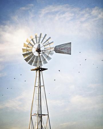 'Windmill' Giclee Print - Elizabeth Kay | AllPosters.com