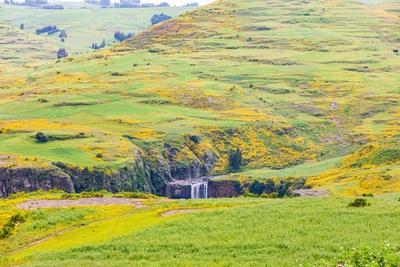 Ethiopia. Amhara. North Gondar. Small waterfall and wildflowers in the ...