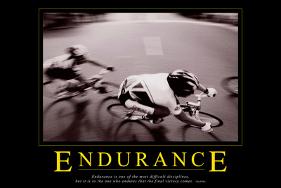 'Endurance' Posters | AllPosters.com