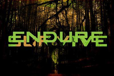 'Endure And Survive' Posters | AllPosters.com