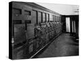 'Eniac Computer Was the First General-Purpose Electronic Digital ...