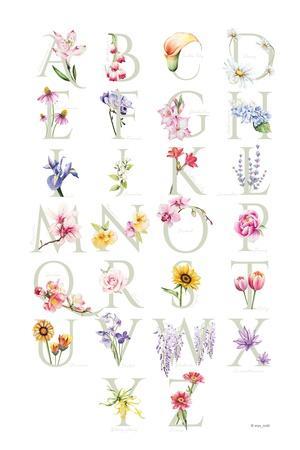 'Floral Alphabet' Print - Enya Todd | AllPosters.com