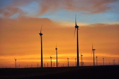 'Eolian turbines park at sunet, warm light. Wind power concept' Photo ...