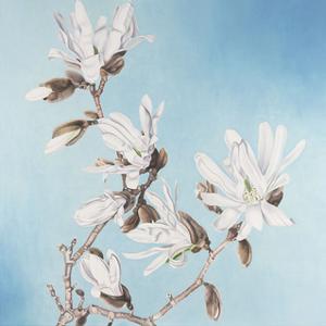 Affordable Elizabeth Hellman Posters for sale at AllPosters.com