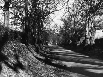 'Ermin Street Roman Road' Photographic Print | AllPosters.com