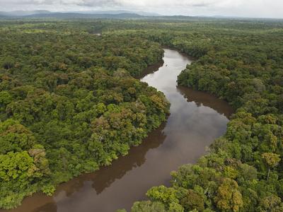 'Essequibo River, Between the Orinoco and Amazon, Iwokrama Reserve ...
