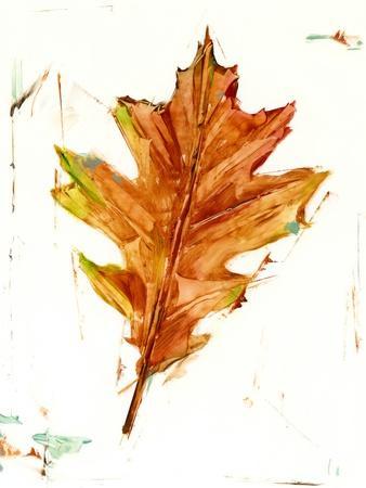 'Autumn Leaf Study II' Posters - Ethan Harper | AllPosters.com