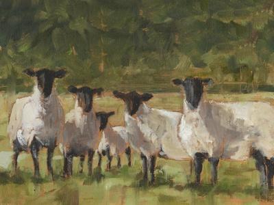 Sheep Family II Prints - Ethan Harper | AllPosters.com