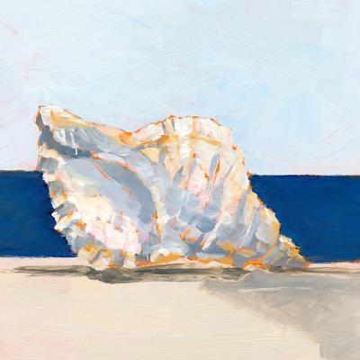 'Shell By the Shore III' Prints - Ethan Harper | AllPosters.com